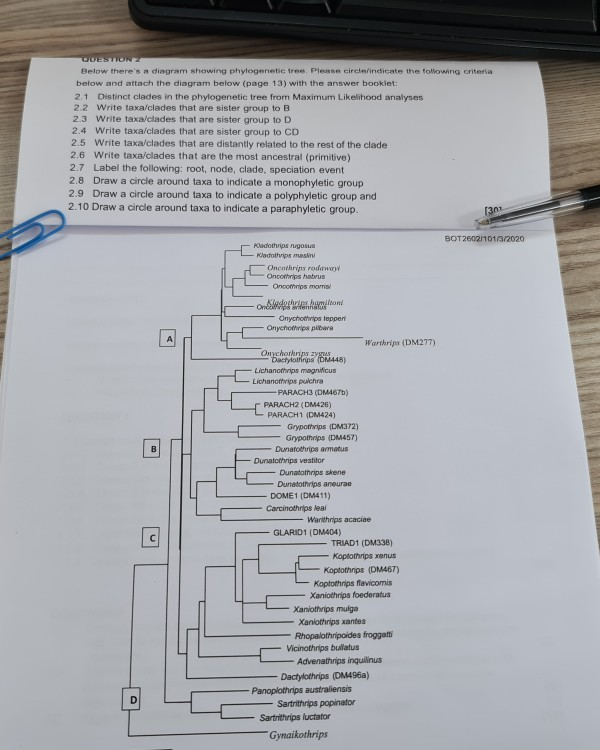 Solved QUESTION 2 Below there's a diagram showing | Chegg.com