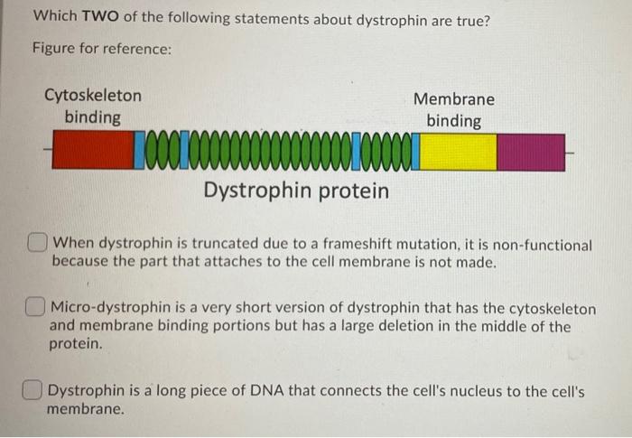 Solved can i get some help with these two questions please? | Chegg.com