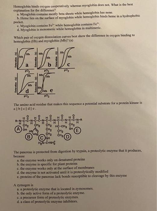Solved Hemoglobin binds oxygen cooperatively whereas | Chegg.com