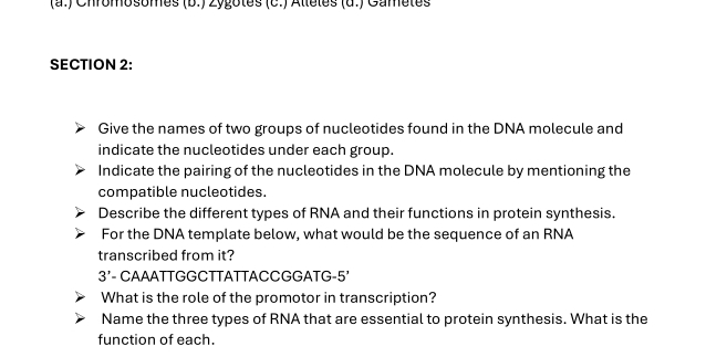 Solved SECTION 2:Give the names of two groups of nucleotides | Chegg.com