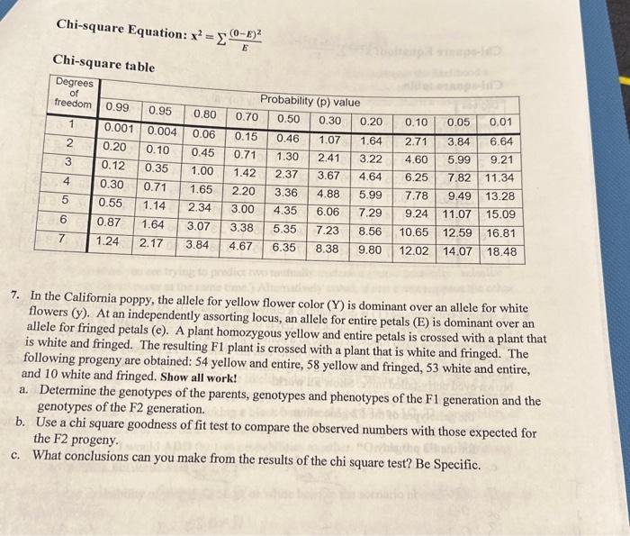 Solved Chi-square Equation: x2=∑E(0−E)2 Chi-square table 7. | Chegg.com