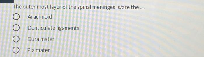 Solved The outer most layer of the spinal meninges is/are | Chegg.com