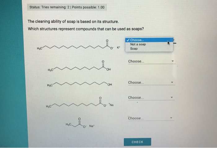 Solved Status: Tries remaining: 2 Points possible: 1.00 The | Chegg.com