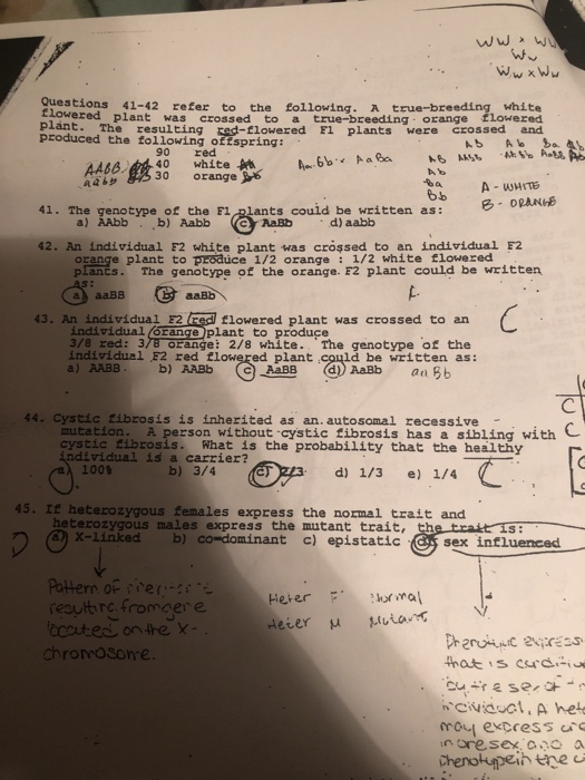 Solved با لا لا لا WwxWw Questions 41-42 refer to the | Chegg.com