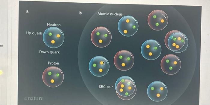 Solved What eoement does this nucleus model? The nucleus as | Chegg.com