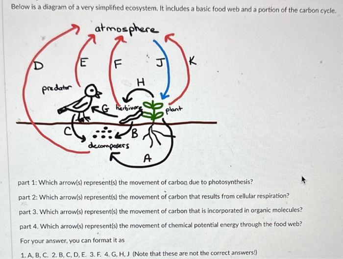 Solved Below is a diagram of a very simplified ecosystem. It | Chegg.com