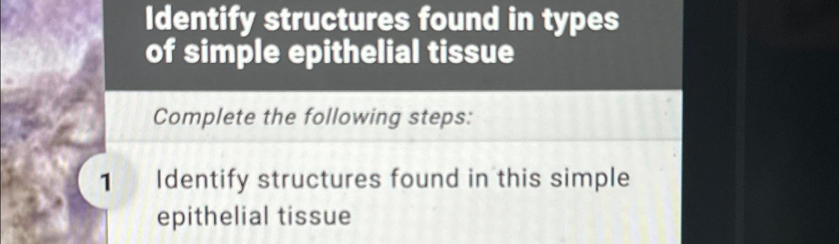 Identify structures found in types of simple | Chegg.com
