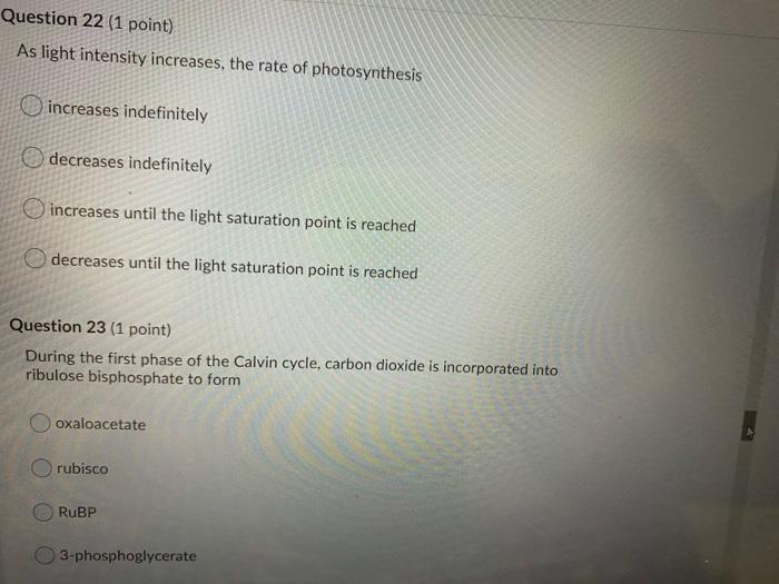 Solved Question 22 (1 point) As light intensity increases, | Chegg.com