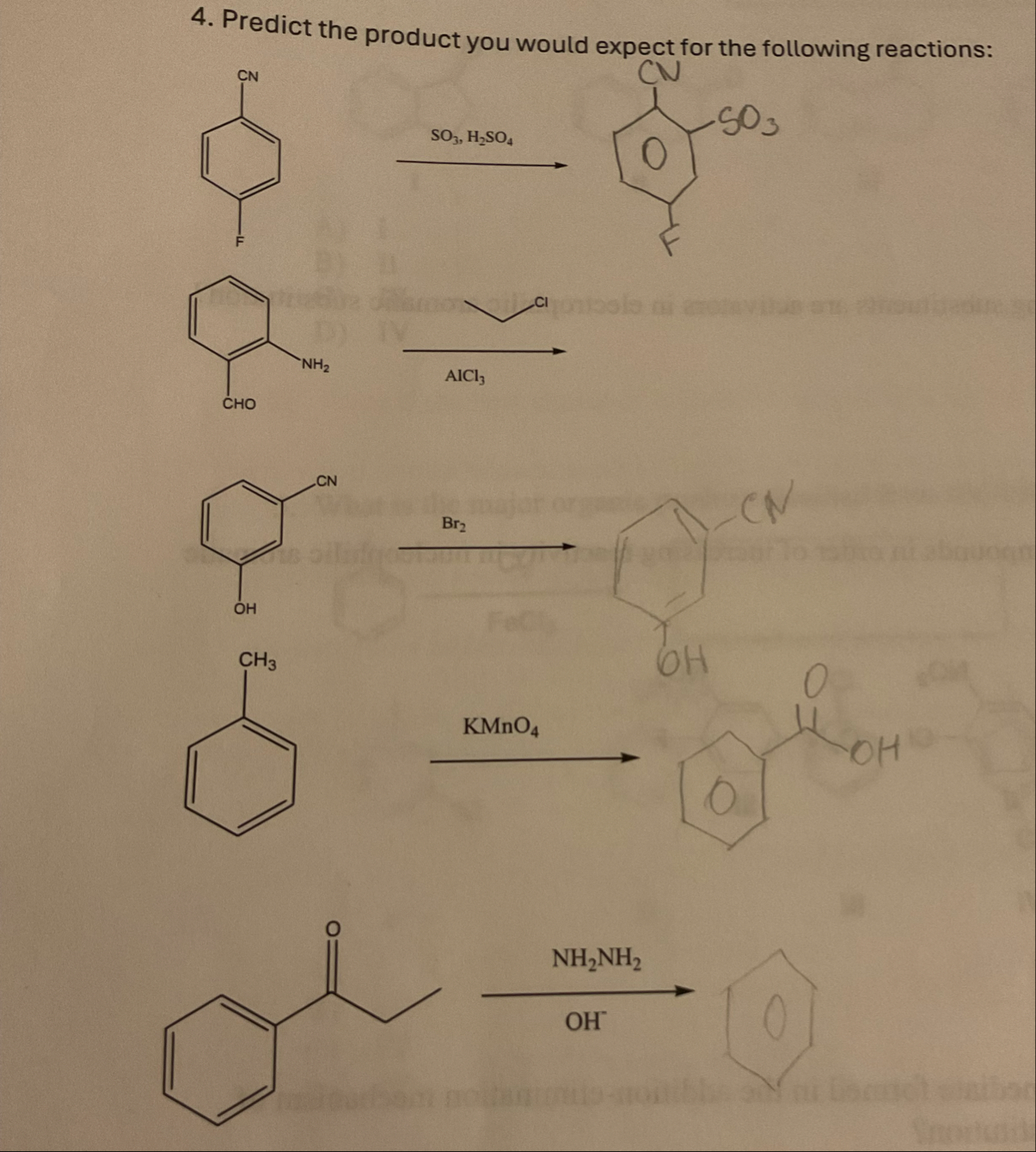 Solved Predict the product you would expect for the | Chegg.com