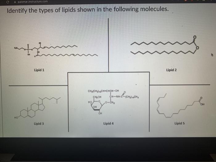 Solved С е palomar instructure.com Identify the types of | Chegg.com