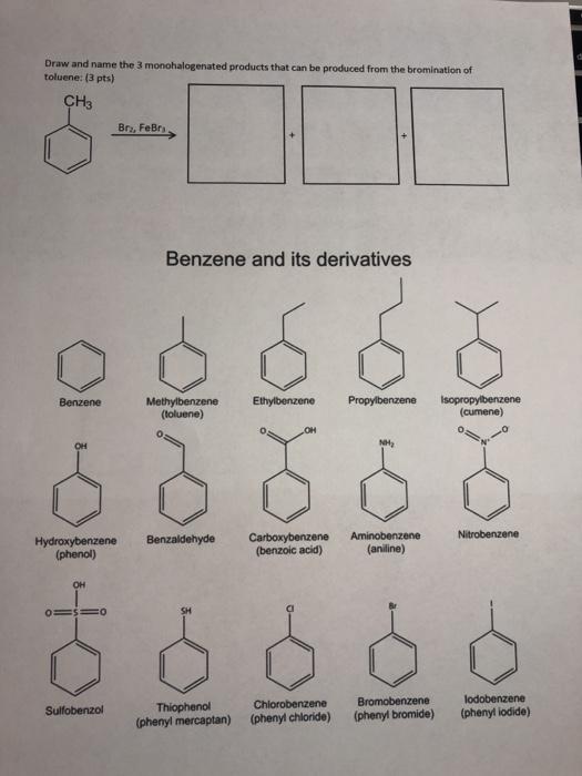 Solved Draw and name the 3 monohalogenated products that can | Chegg.com