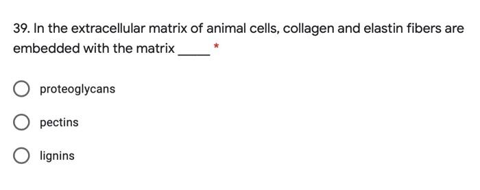 Solved 39. In the extracellular matrix of animal cells, | Chegg.com
