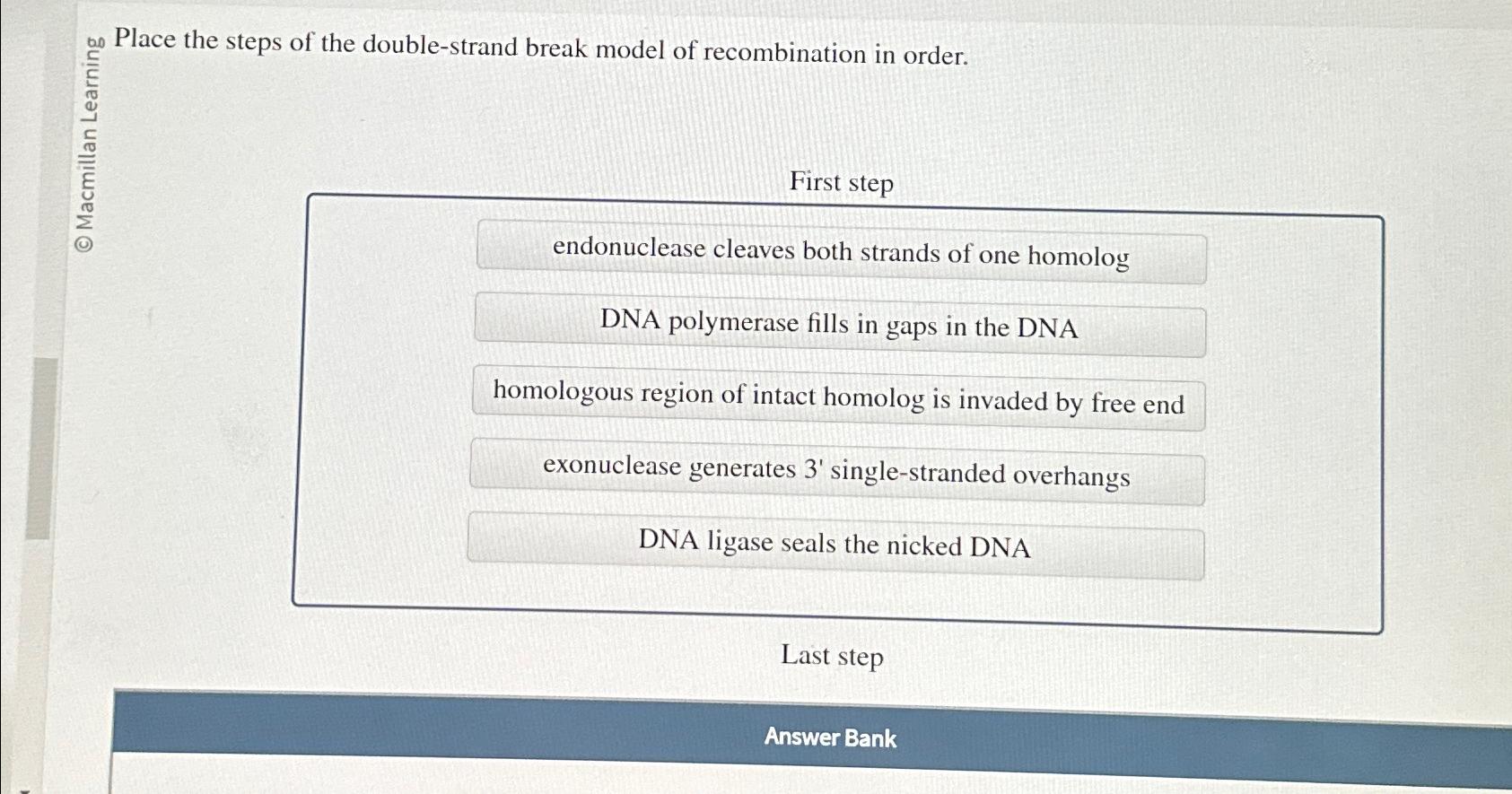 Solved wo Place the steps of the double-strand break model | Chegg.com