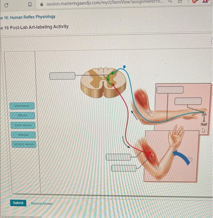 Solved Fill In The Balnks Order Top To Bottom Or Left To