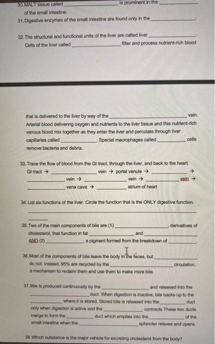 Solved 30.MALT tissue called is prominent in the of the | Chegg.com