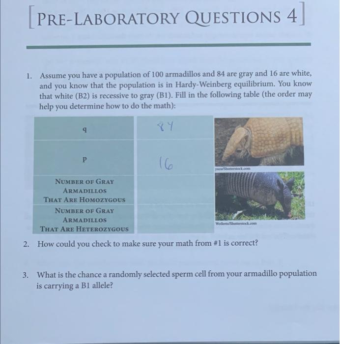 Solved [ PRE-LABORATORY QUESTIONS 4] 1. Assume you have a | Chegg.com