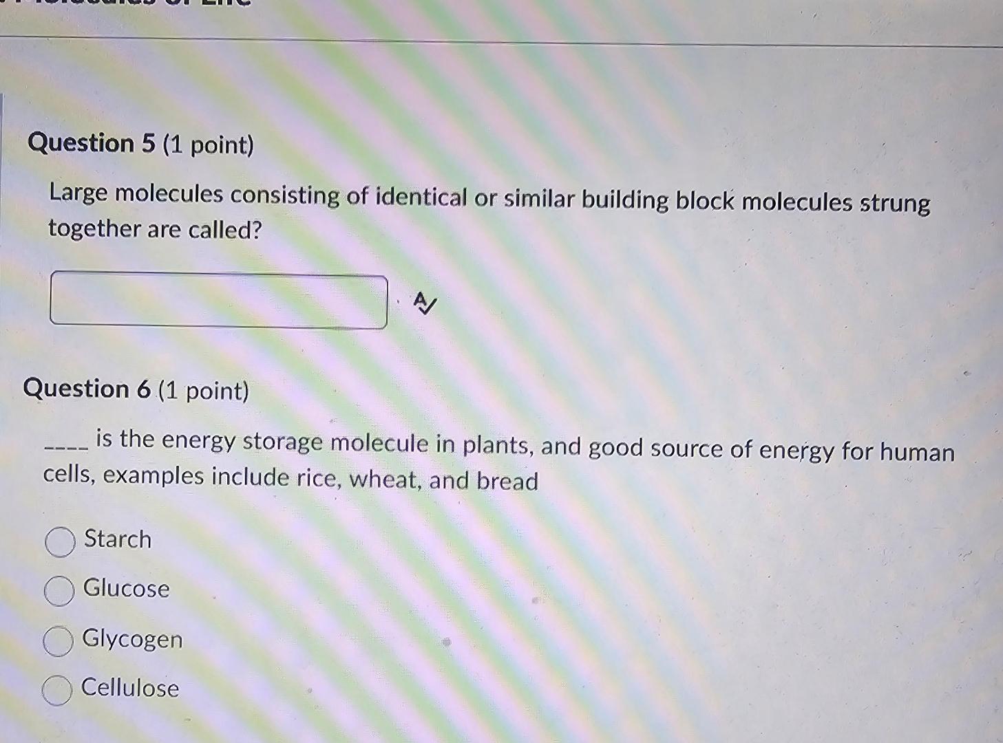 Solved Question 5 (1 ﻿point)Large molecules consisting of | Chegg.com