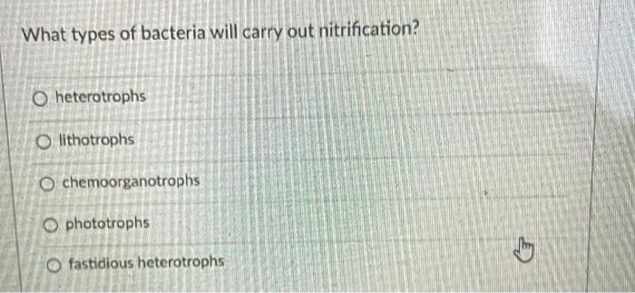 Solved What types of bacteria will carry out nitrification? | Chegg.com