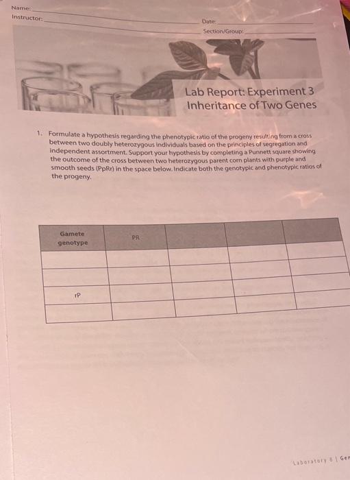 Solved Name Instructor Date Section Group Lab Report 