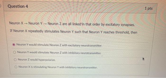 Solved Neuron X→ Neuron Y→ Neuron Z are all linked in that | Chegg.com Solved Neuron X→ Neuron Y→ Neuron Z are all linked in that | Chegg.com