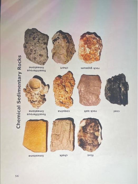 Lab 10: Rocks and Rock Identification In this lab you | Chegg.com