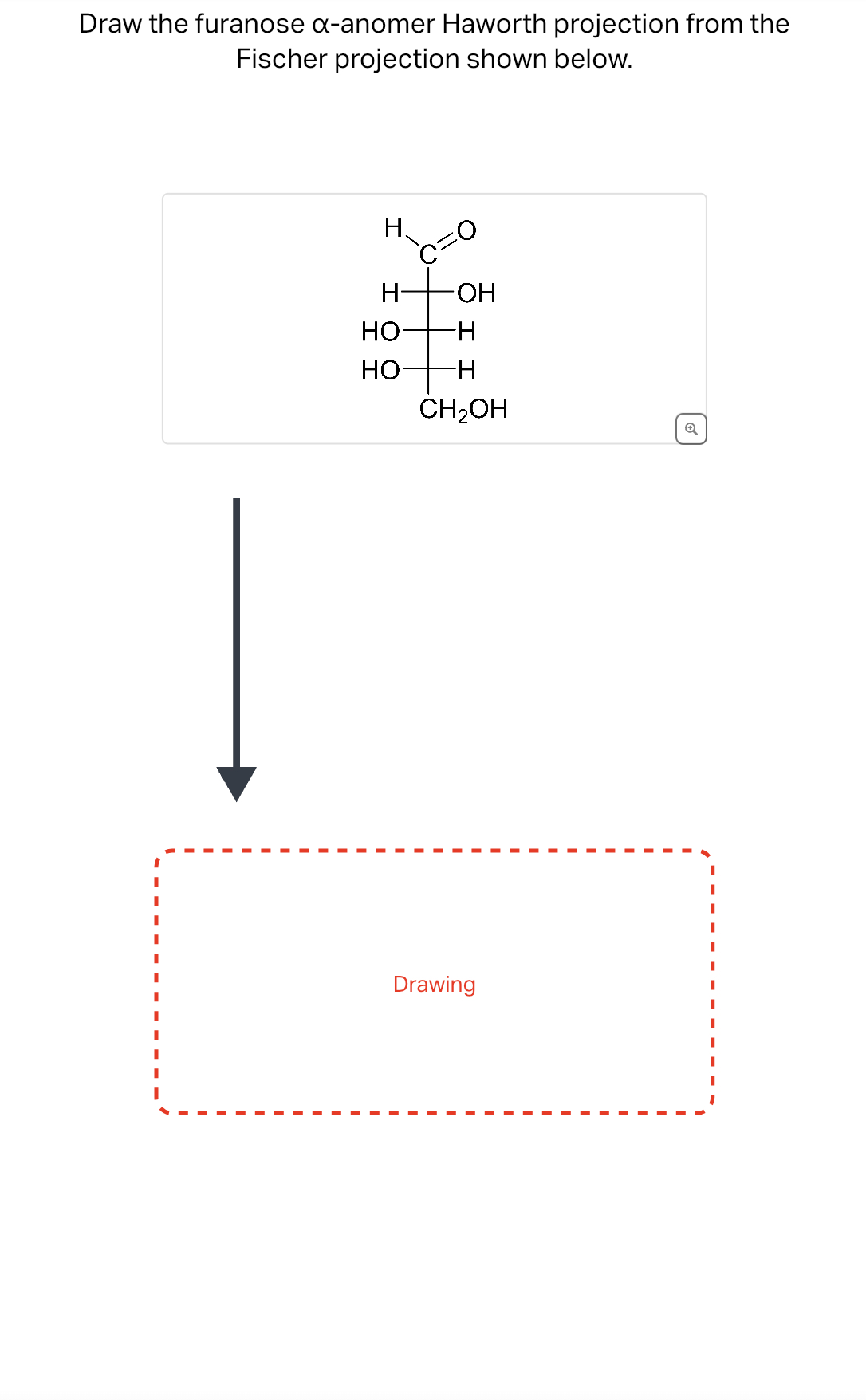 Solved Draw the furanose α-anomer Haworth projection from | Chegg.com
