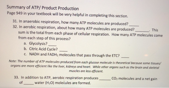 Solved Summary of ATP/ Product Production Page 949 in your | Chegg.com