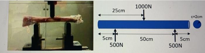 Solved P1. The below picture shows a three-point bending | Chegg.com