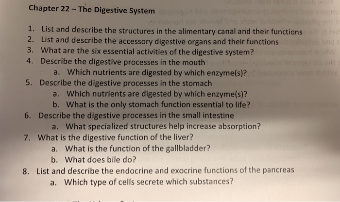 Solved Chapter 22 - The Digestive System 1. List and | Chegg.com
