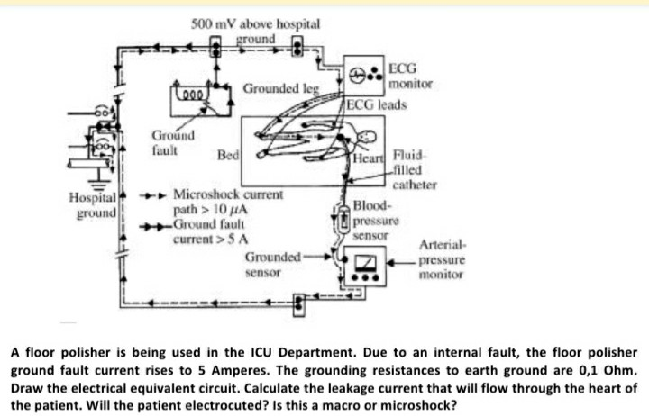 Solved 500 mV above hospital A ground :: ECG Grounded leg | Chegg.com