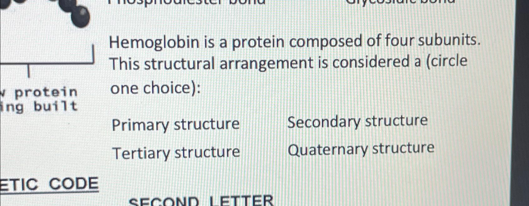 Solved Hemoglobin is a protein composed of four subunits. | Chegg.com