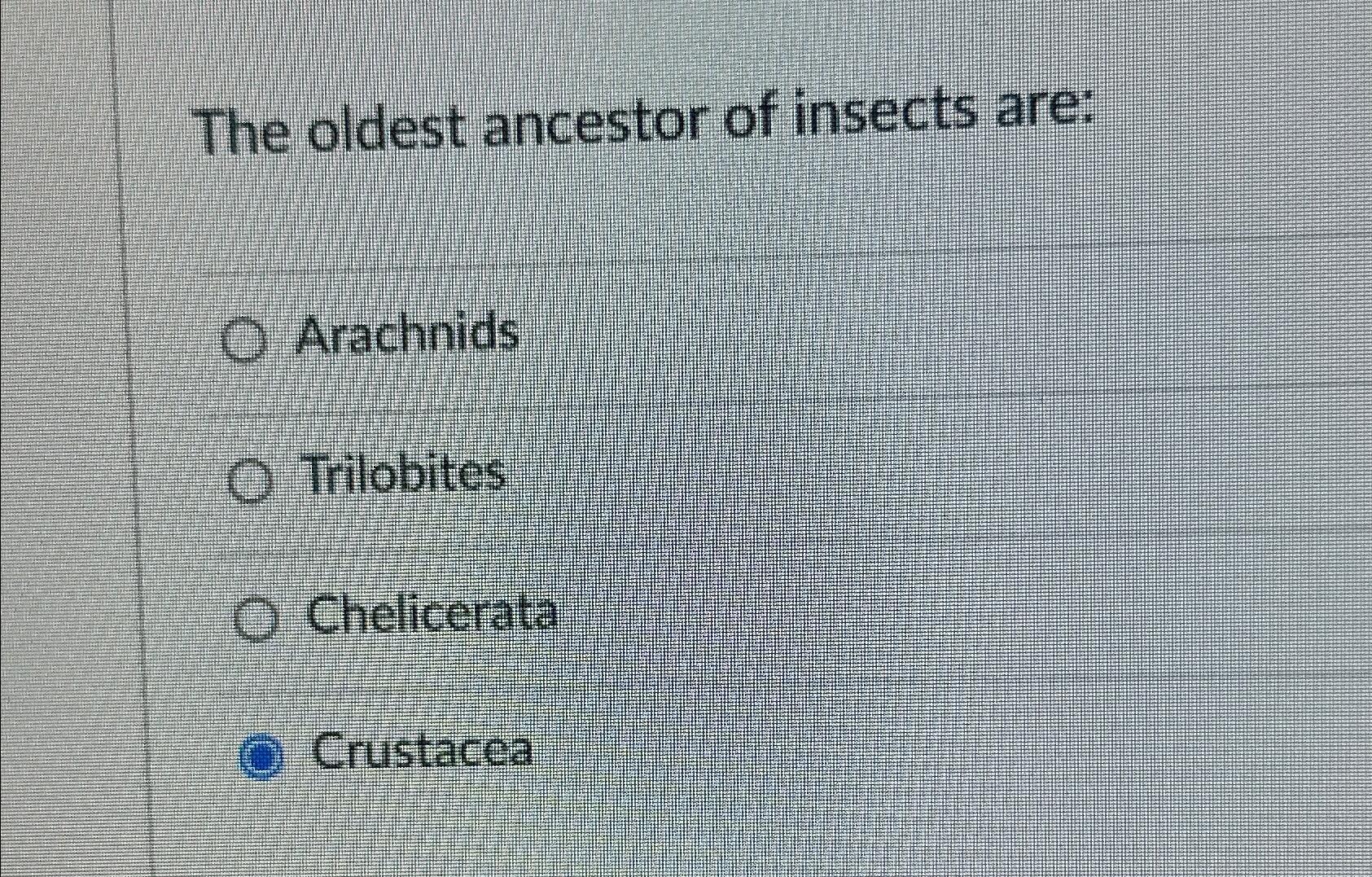 Solved The oldest ancestor of insects | Chegg.com