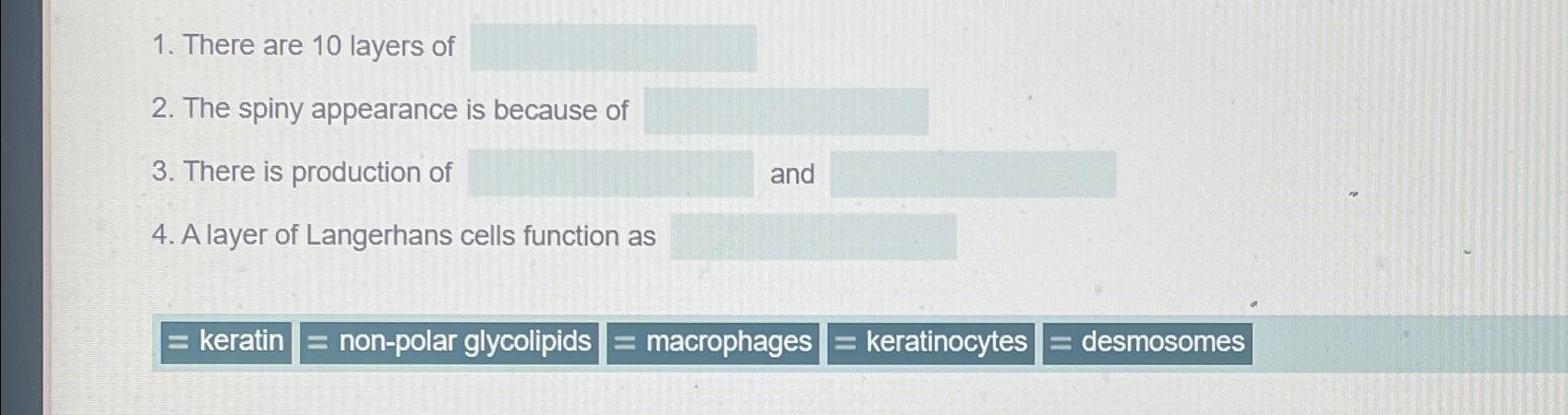 Solved There are 10 ﻿layers ofThe spiny appearance is | Chegg.com