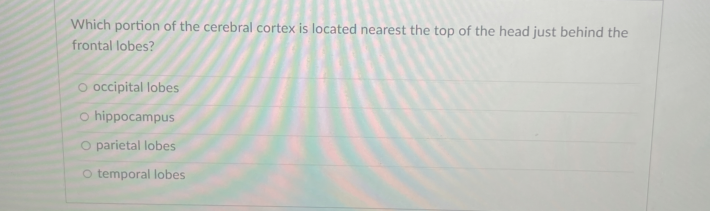 Solved Which portion of the cerebral cortex is located | Chegg.com