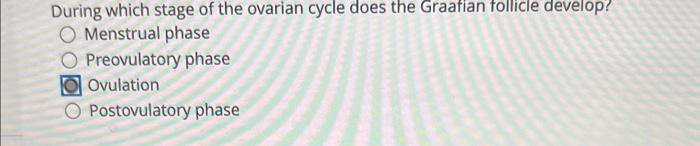 Solved During which stage of the ovarian cycle does the | Chegg.com