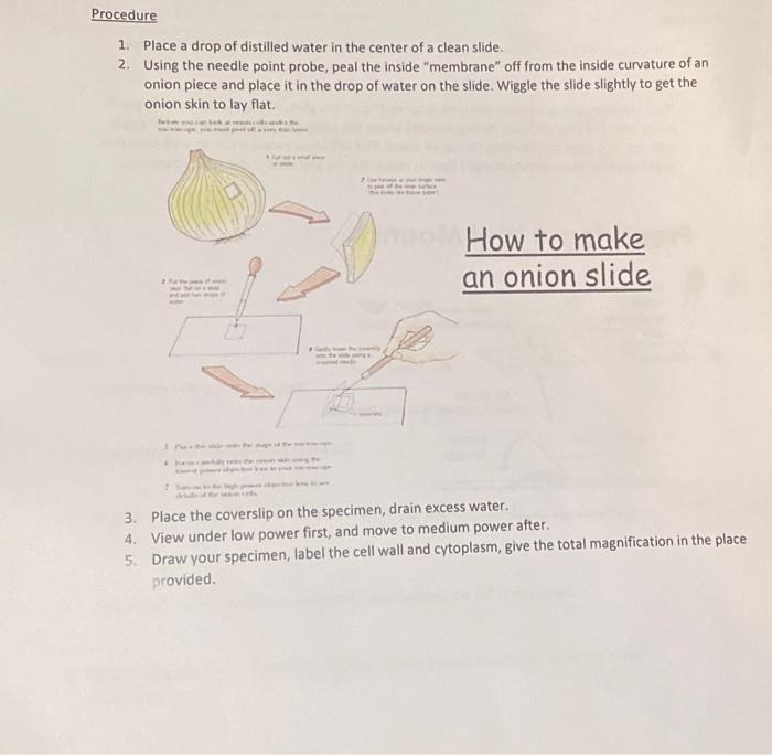 Solved Use the procedures to draw the appropriate diagram | Chegg.com