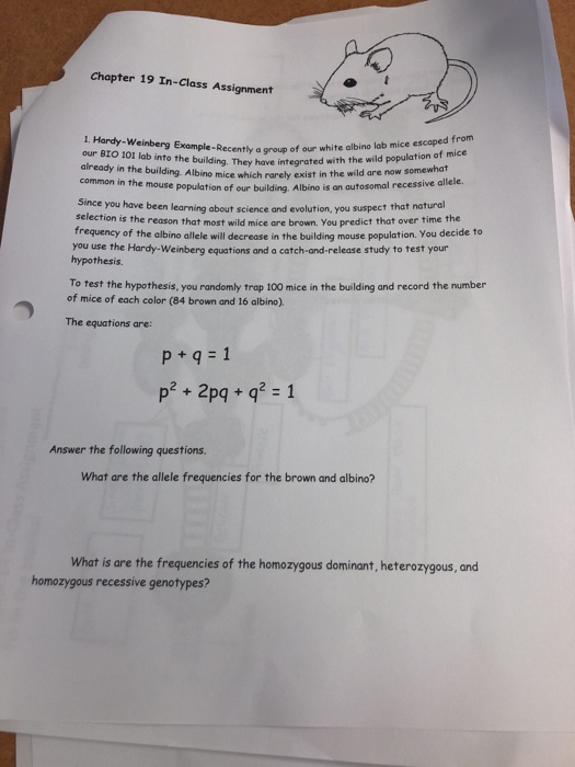 Solved Chapter 19 In-Class Assignment 1. Hardy-Weinberg | Chegg.com
