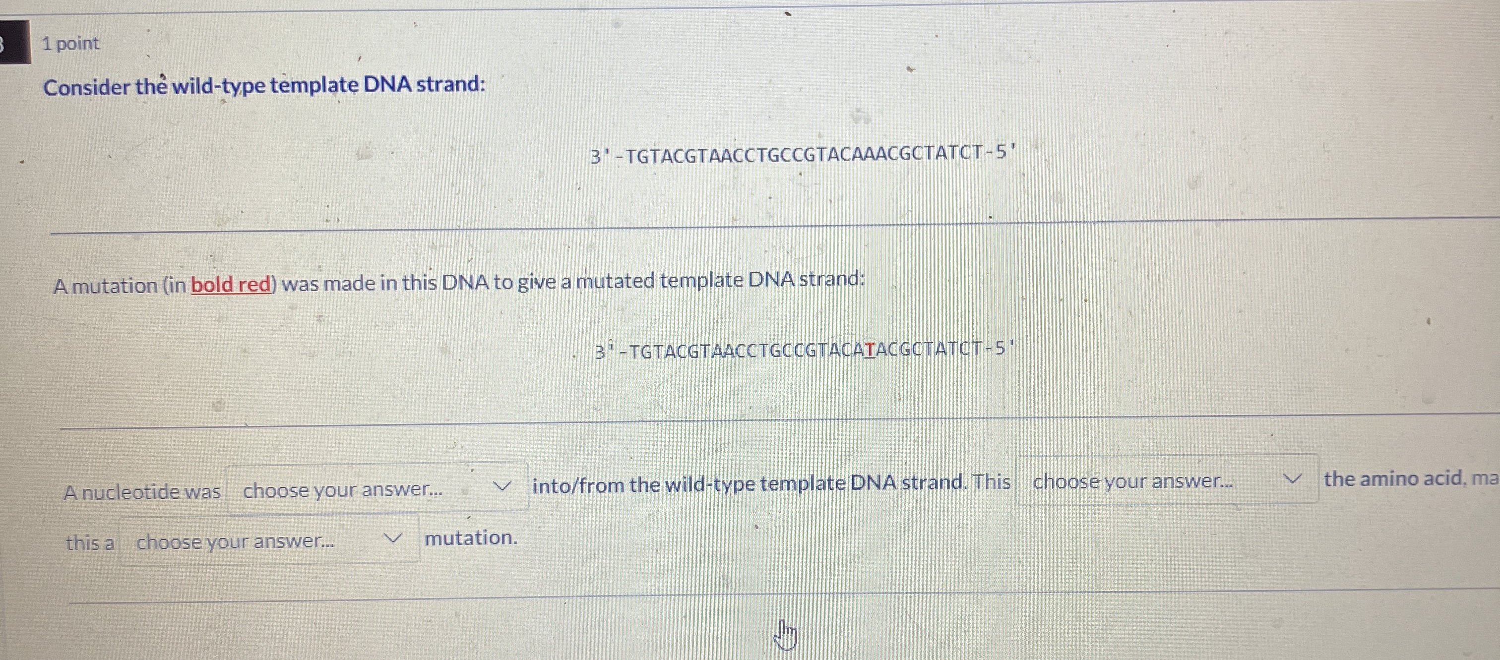Solved 1 ﻿pointConsider thẻ ﻿wild-type template DNA | Chegg.com
