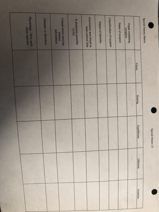 Special Senses 25 Special Senses Matrix Hearing | Chegg.com