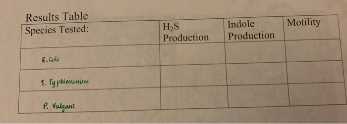 Solved SIM E. COLI SIM S. TYPHIMURIUM SIM P. VULGARIS | Chegg.com