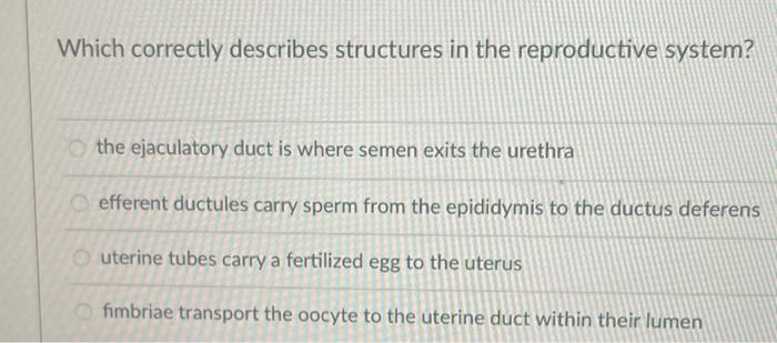 Solved Which layer of blood vessels contains simple squamous | Chegg.com