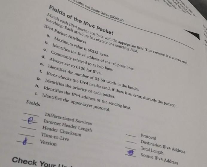 Solved Labs and Study Guido CONAT) Fields of the IPv4 Packet | Chegg.com