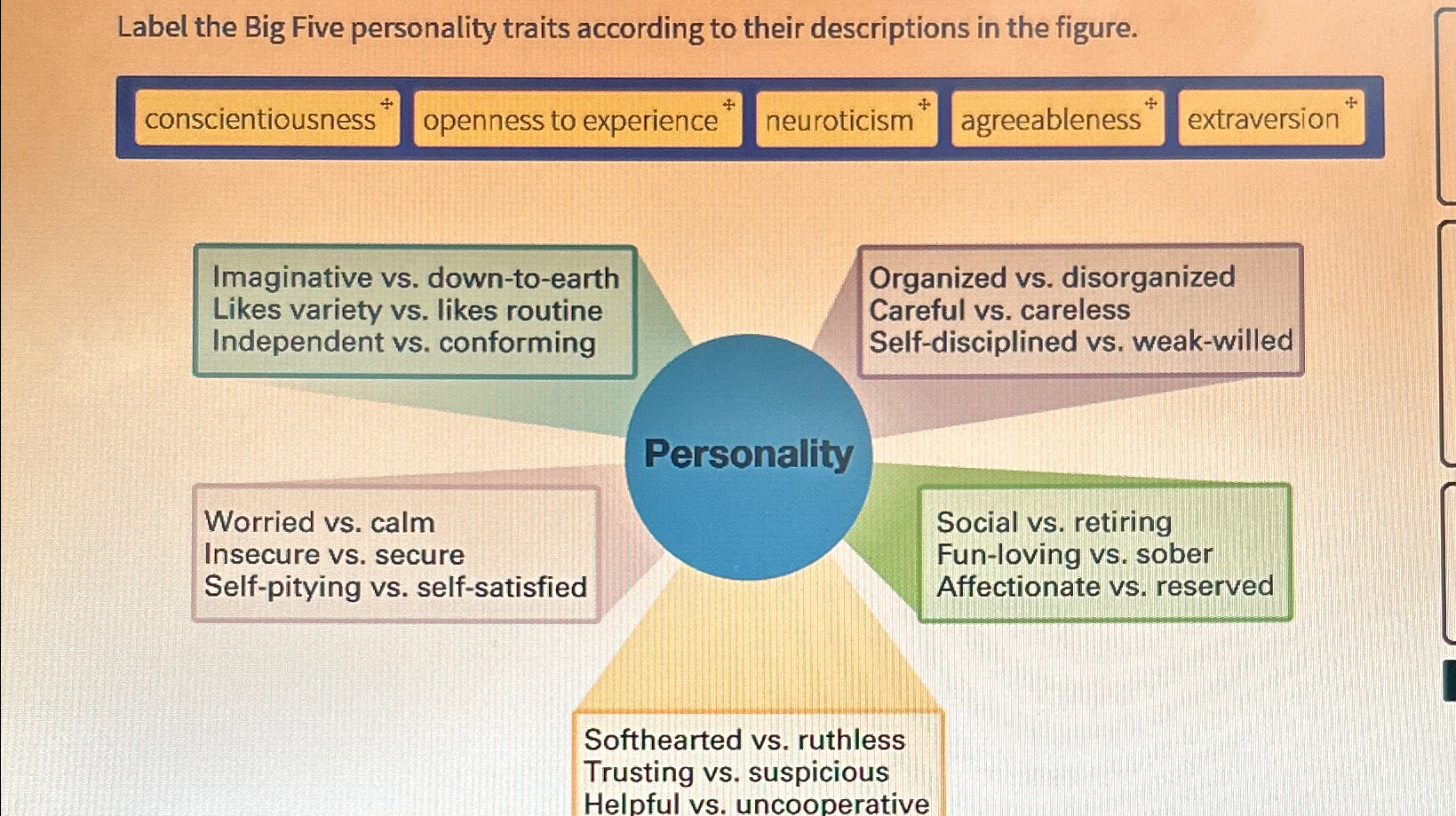 Solved Label the Big Five personality traits according to | Chegg.com