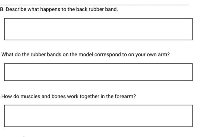 Solved Model of the Arm B split pin A Procedure 1. Download | Chegg.com