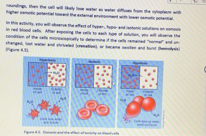 Solved Data Sheet 4.2. The effect of tonicity on animal | Chegg.com