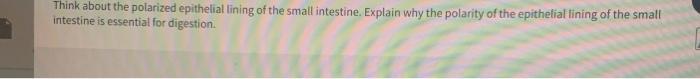 Solved Think about the polarized epithelial lining of the | Chegg.com