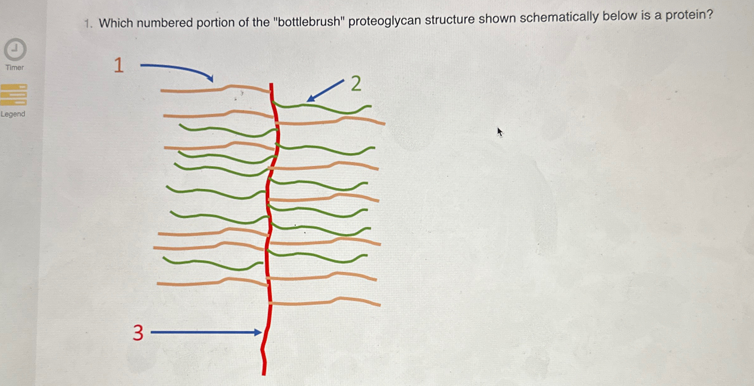 Solved Which numbered portion of the "bottlebrush" | Chegg.com