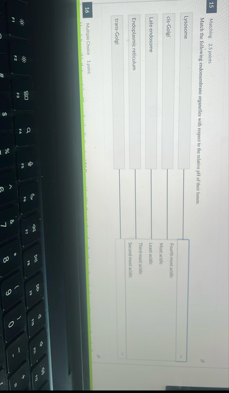 Solved Matching 2.5 ﻿pointsMatch the following endomembrane | Chegg.com