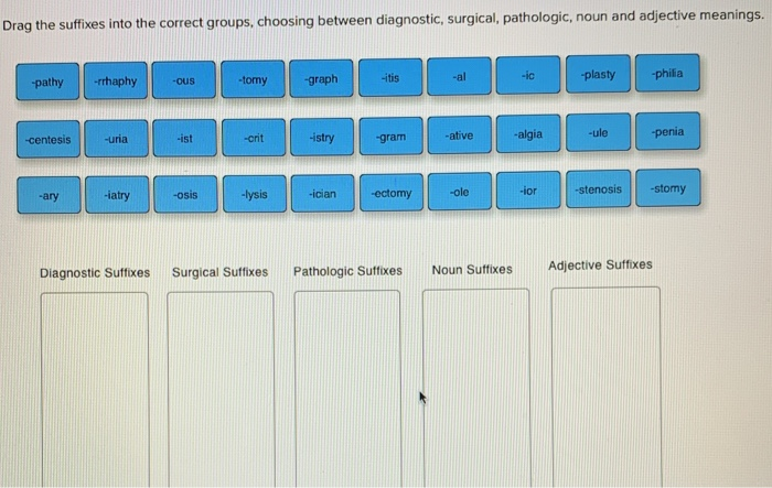 Solved Drag the suffixes into the correct groups, choosing | Chegg.com