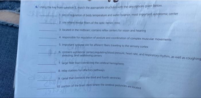 Solved 5. Using the terms from the key, identify the | Chegg.com